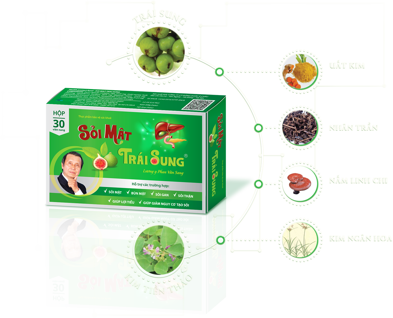 hop thuoc - Sỏi Mật Trái Sung