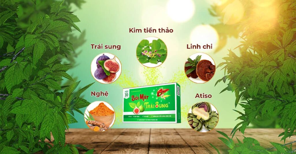 soi-tui-mat-uong-thuoc-gi-2 - Sỏi Mật Trái Sung