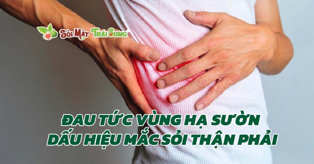 dau-nhuc-ha-suon-phai-dau-hieu-mac-soi-than-phai-4 - Sỏi Mật Trái Sung