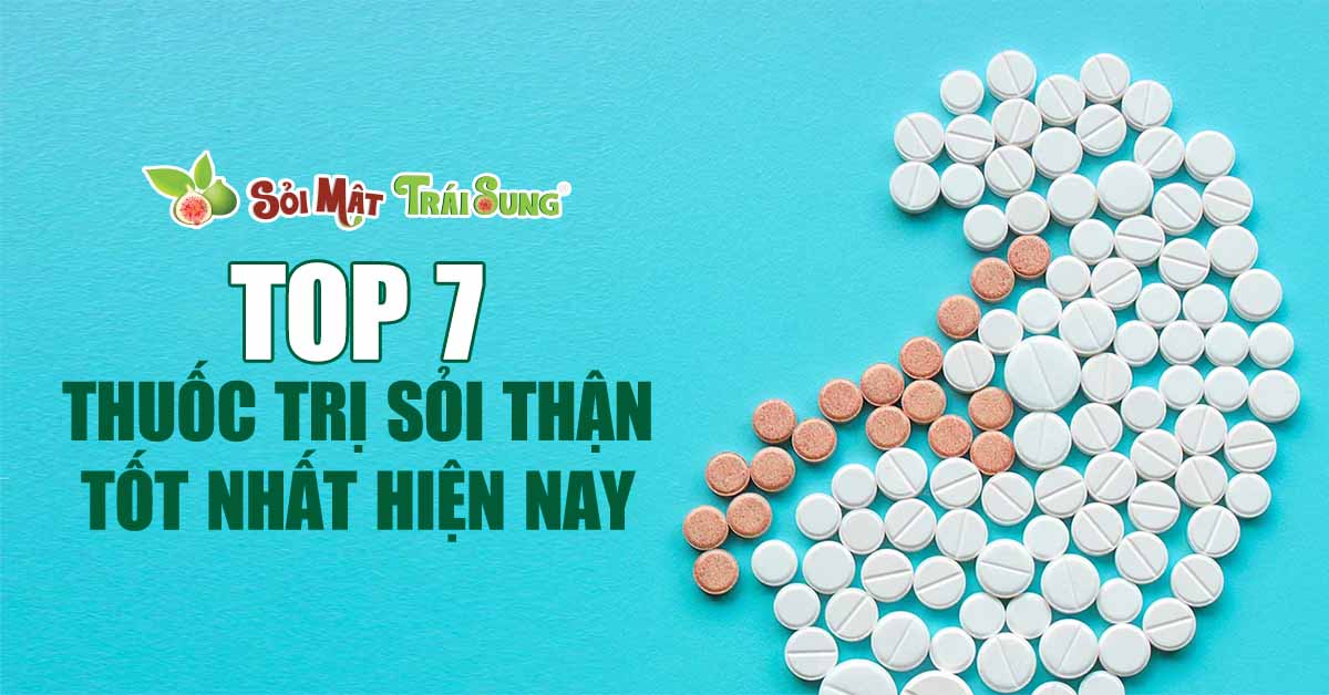 thuoc-tri-soi-than-tot-nhat-hien-nay-8 - Sỏi Mật Trái Sung
