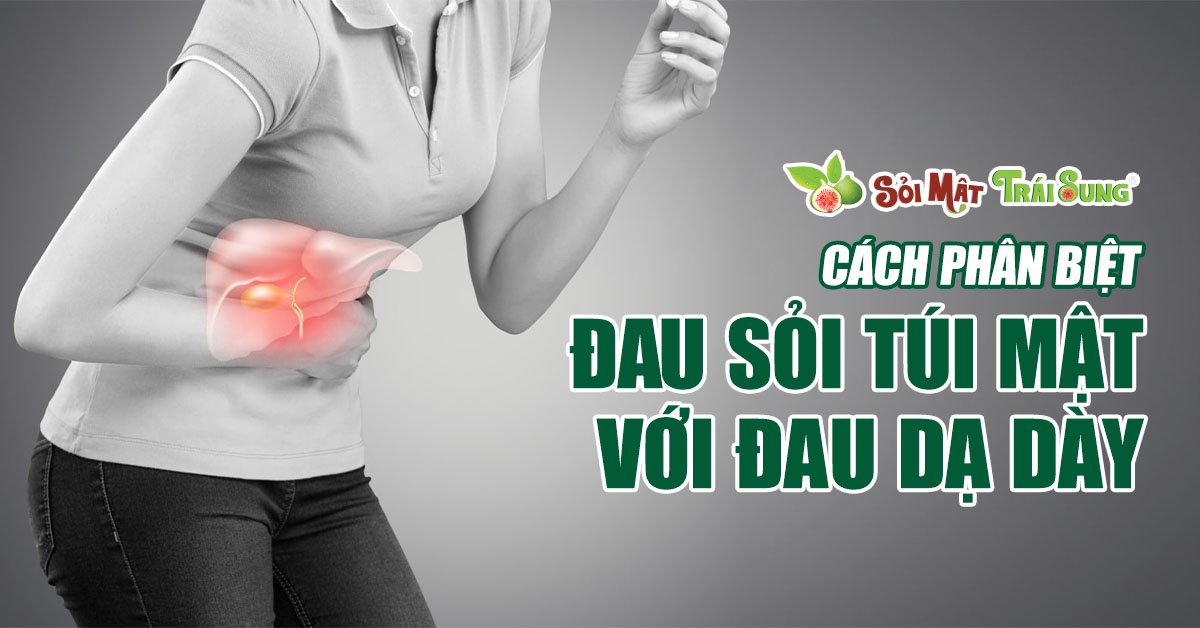 Cách phân biệt đau sỏi túi mật với đau dạ dày