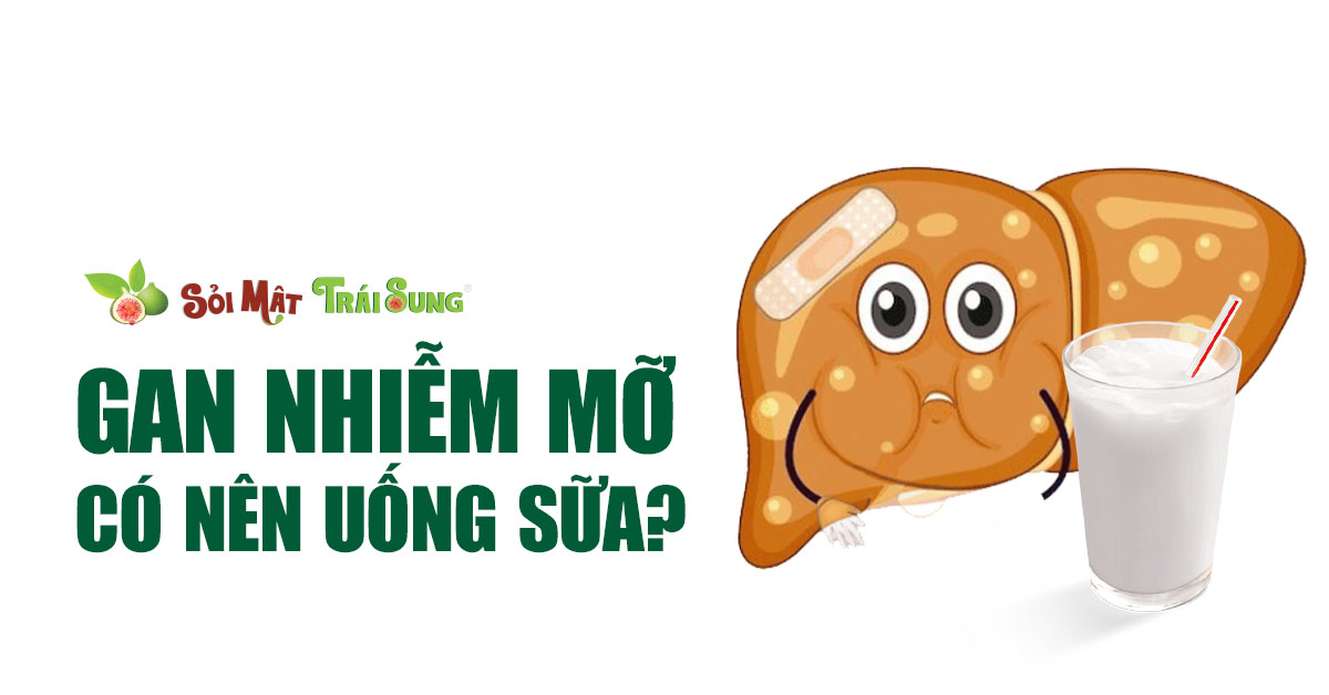 Gan nhiễm mỡ có nên uống sữa?